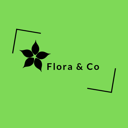 Account – Flora & Co.